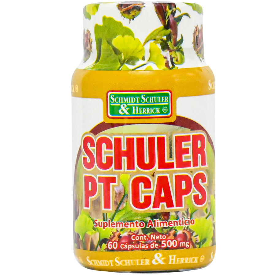 PT CAPS. Precio Buen Fin 2024 – Schuler